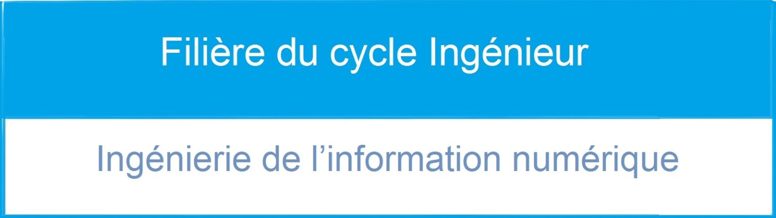 Filière du cycle Ingénieur: Ingénierie de l’information numérique ...